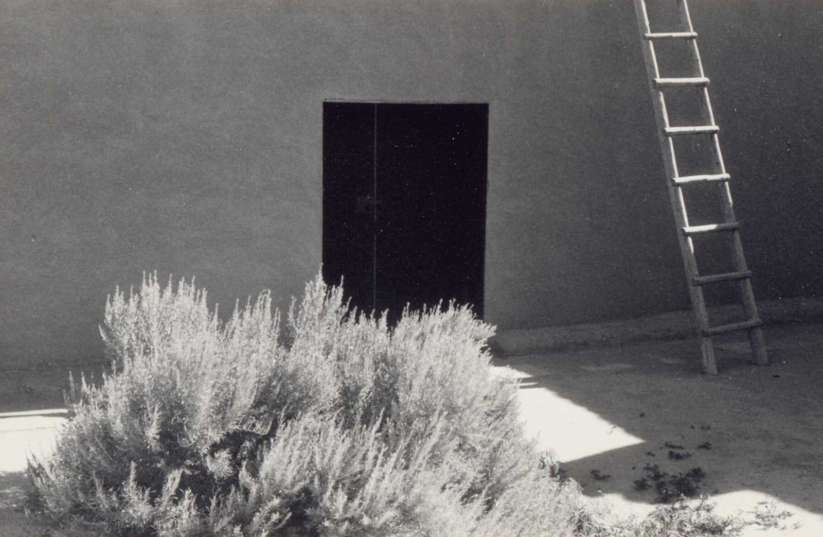 A Wider Scope (Issue 61)